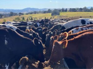 Byron AG Feed Troughs - Byron AG Machinery - Byron AG Machinery