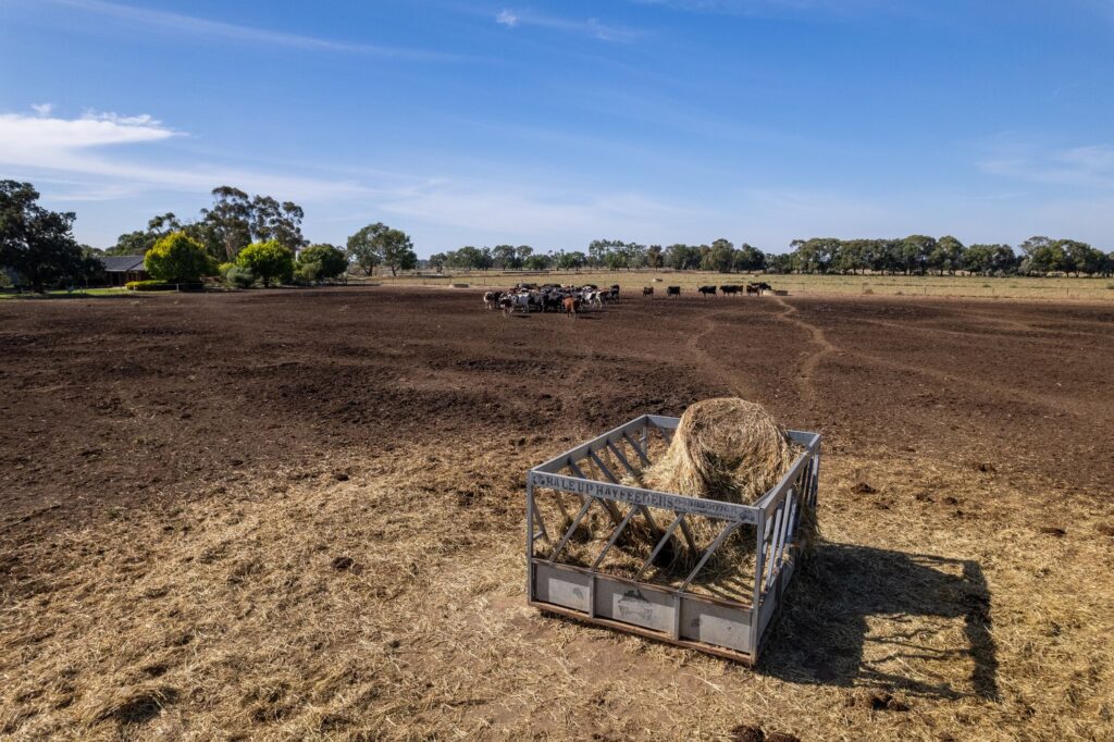 Bale Up Cattle Feeders - Byron AG Machinery - Byron AG Machinery